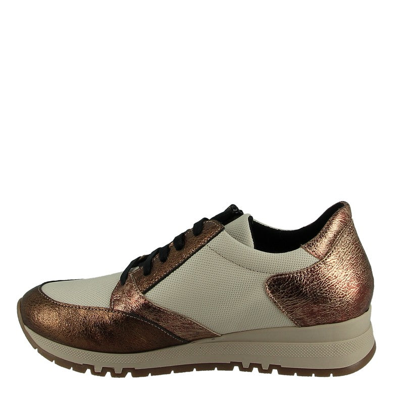 Torretti 6213 Cream/Copper Multi Sneaker